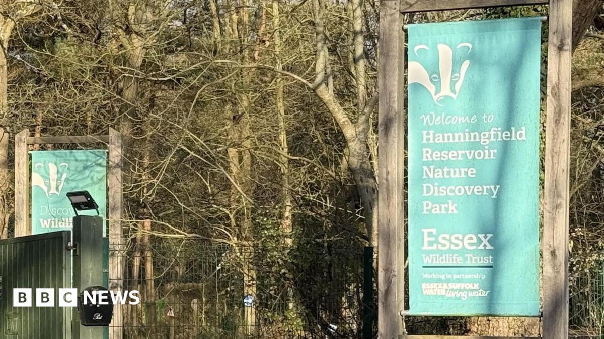 Hanningfield reserve to reopen after fatal reservoir plane crash - BBC News