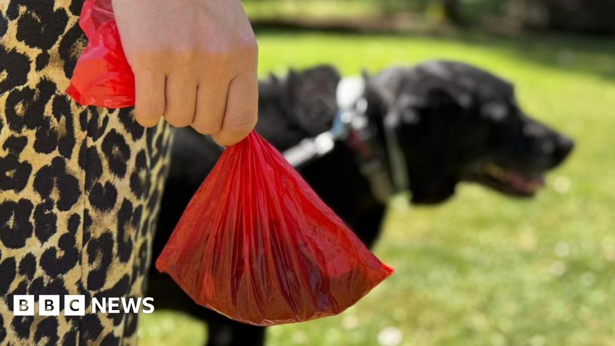 Ramsey commissioners launch campaign to tackle dog fouling - BBC News