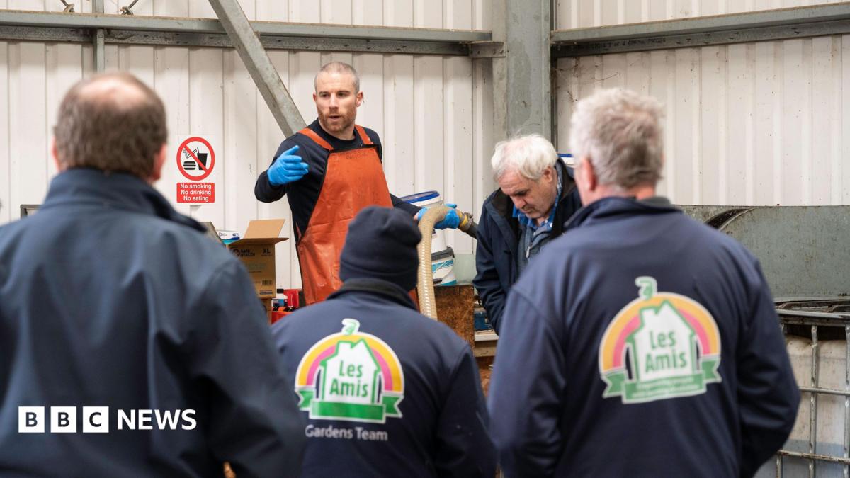 Jersey cooking oil recycling service gets fuel boost - BBC News