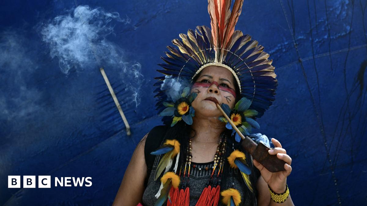 Brazil creates new Indigenous territories during protest-hit COP30 ...
