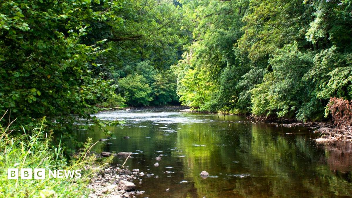 Major £5.5m investment to help improve river's water quality - BBC News