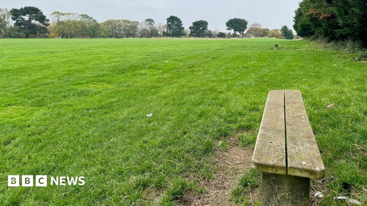 FC Clacton's plans for new all-weather pitch denied permission - BBC News