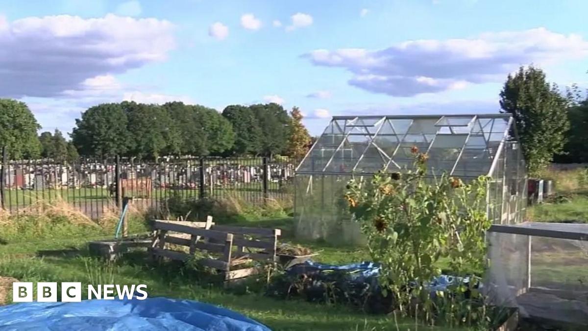 Reading allotments set to return to cemetery use - BBC News