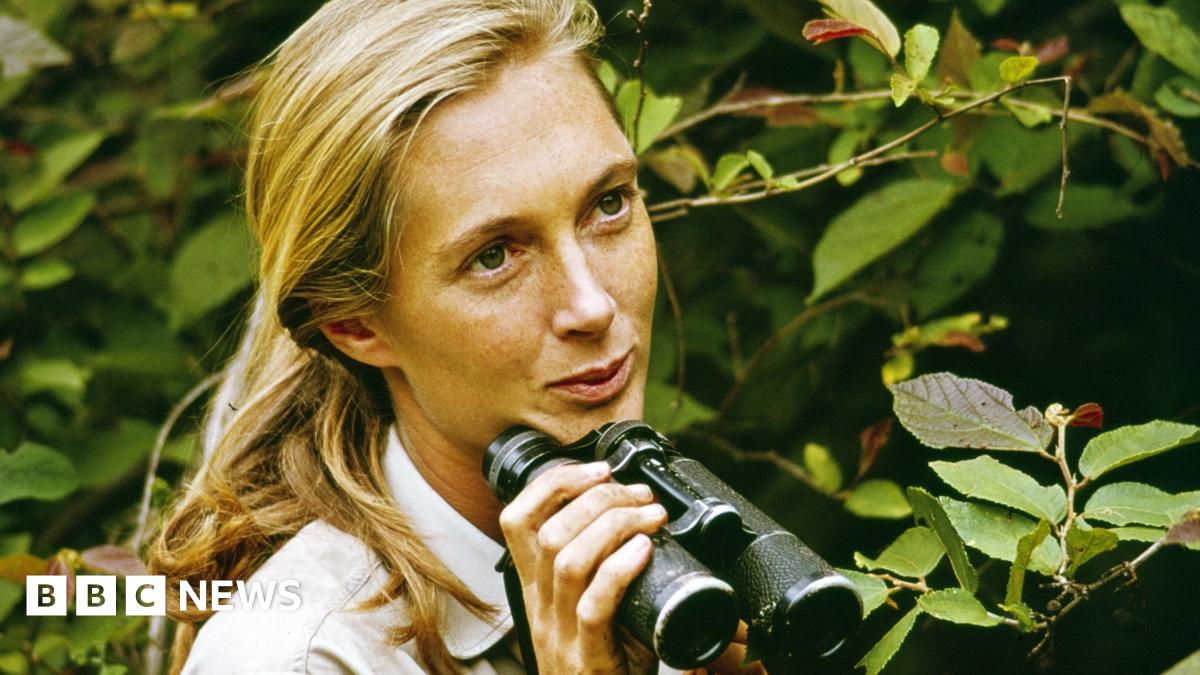 Dame Jane Goodall revolutionised our understanding of our closest ...