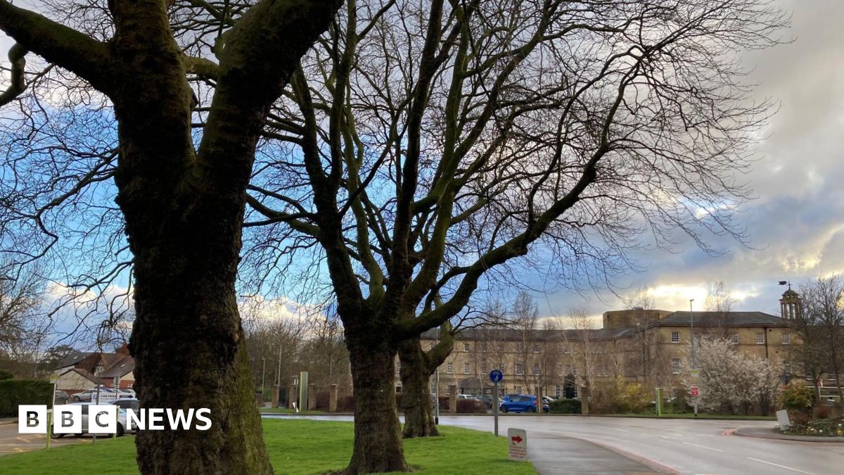 Pinderfields Hospital tree felling plans scaled back - BBC News