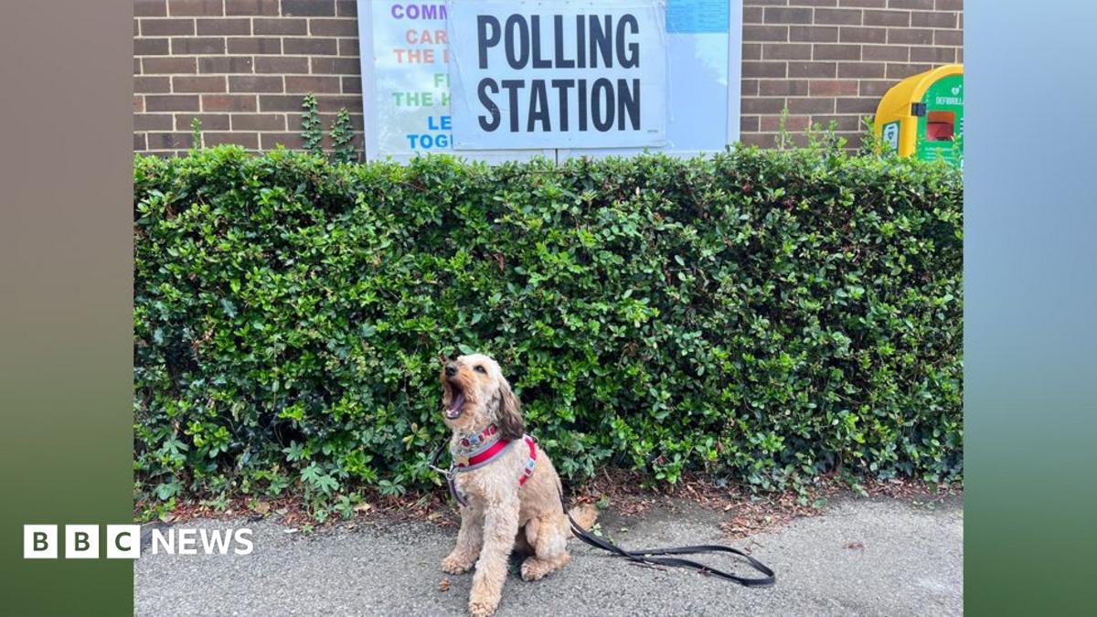 Essex polling stations close for general election 2024 - BBC News