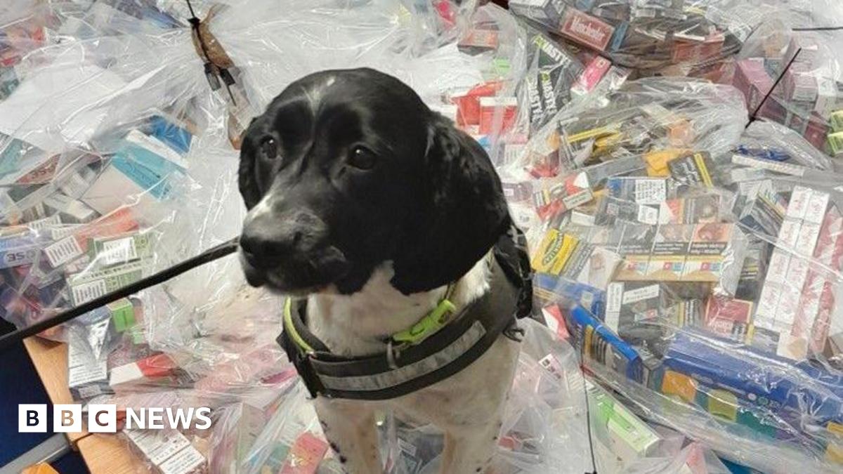 Grantham: Illegal vapes as strong as 300 cigarettes seized - BBC News