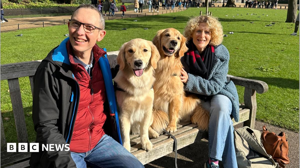 YouTube dogs helped Peterborough RAF veteran through cancer treatment ...