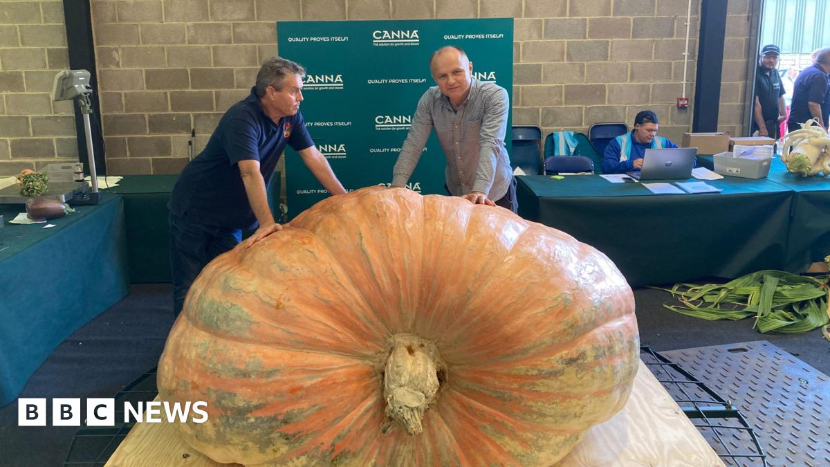 Malvern Autumn Show: Giant veg competitors grow for glory - BBC News