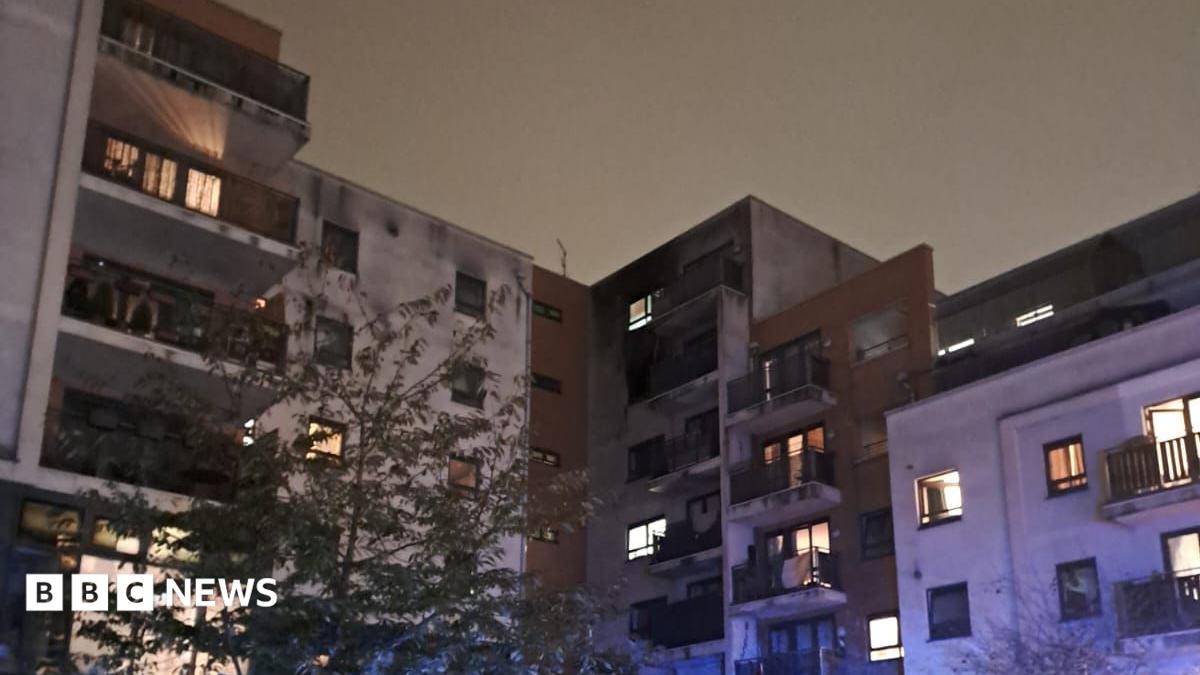 Hammersmith: Two cats die in fire at block of flats - BBC News