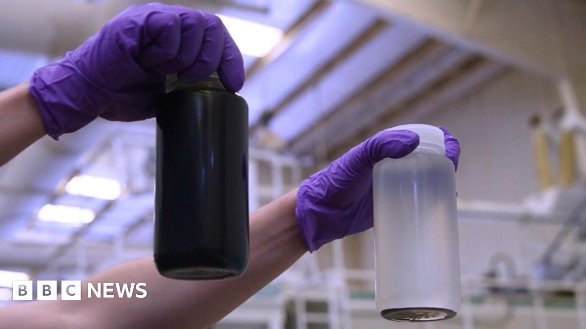 The firms looking to destroy harmful 'forever chemicals' - BBC News