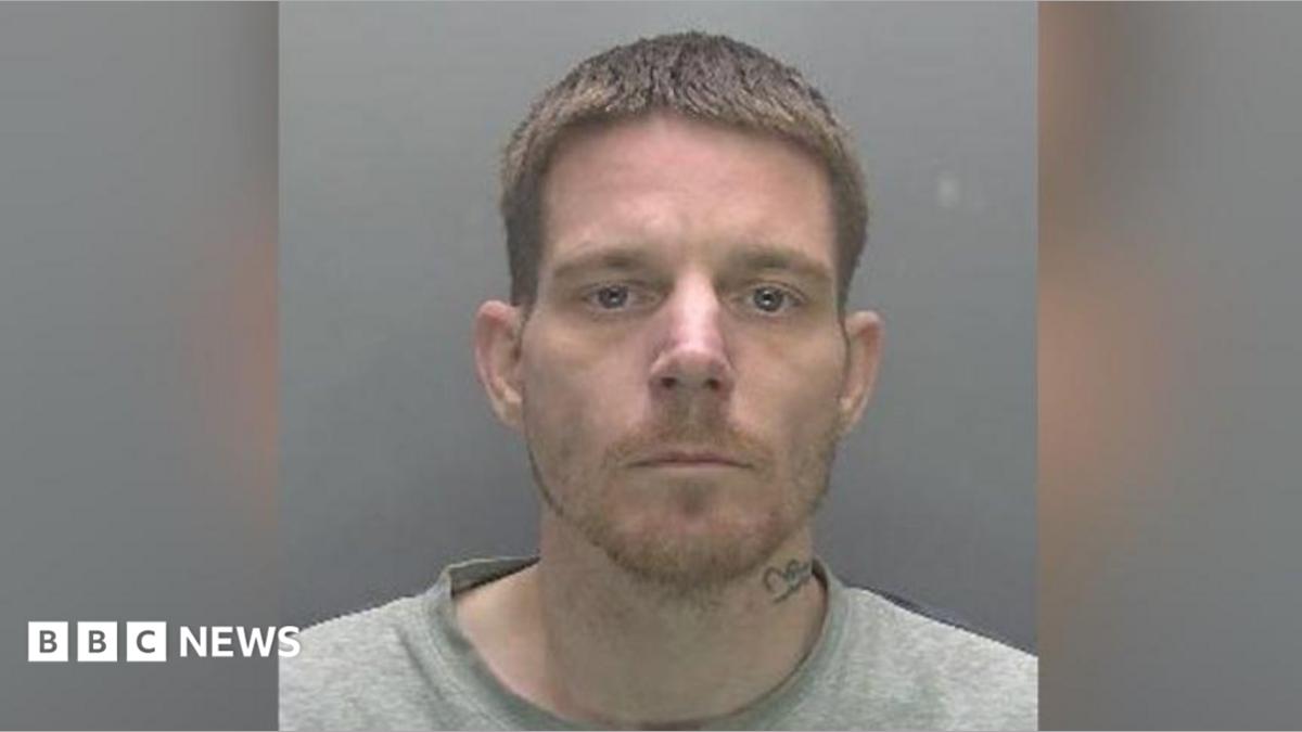 Peterborough burglar strikes two days after prison release - BBC News