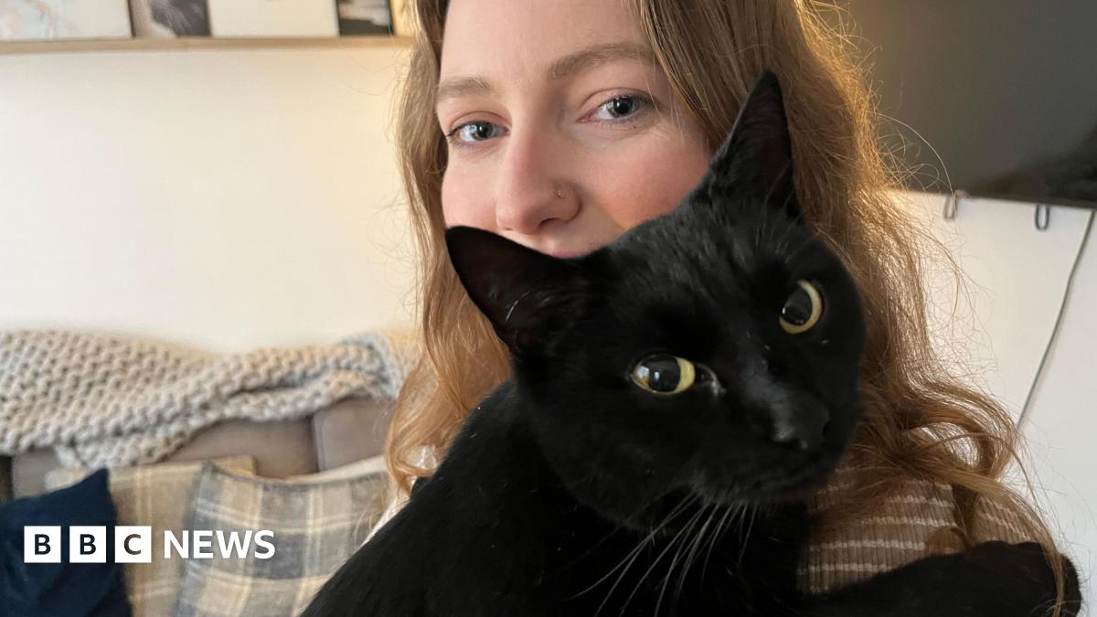 'Christmas miracle' as Haddenham cat comes home after five years - BBC News