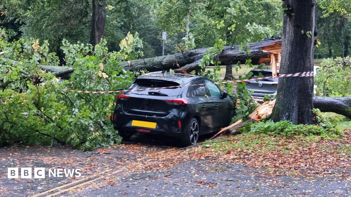 Gloucestershire: Cars damaged and road closed due to fallen trees - BBC ...