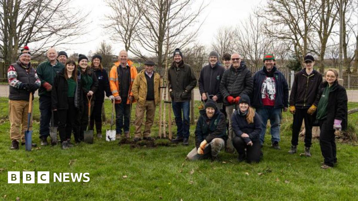 Humber Forest plant 500 trees at Driffield Showground - BBC News