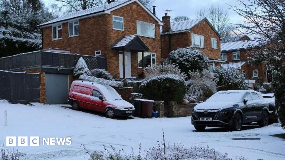 In pictures: Sussex witnesses overnight snow - BBC News