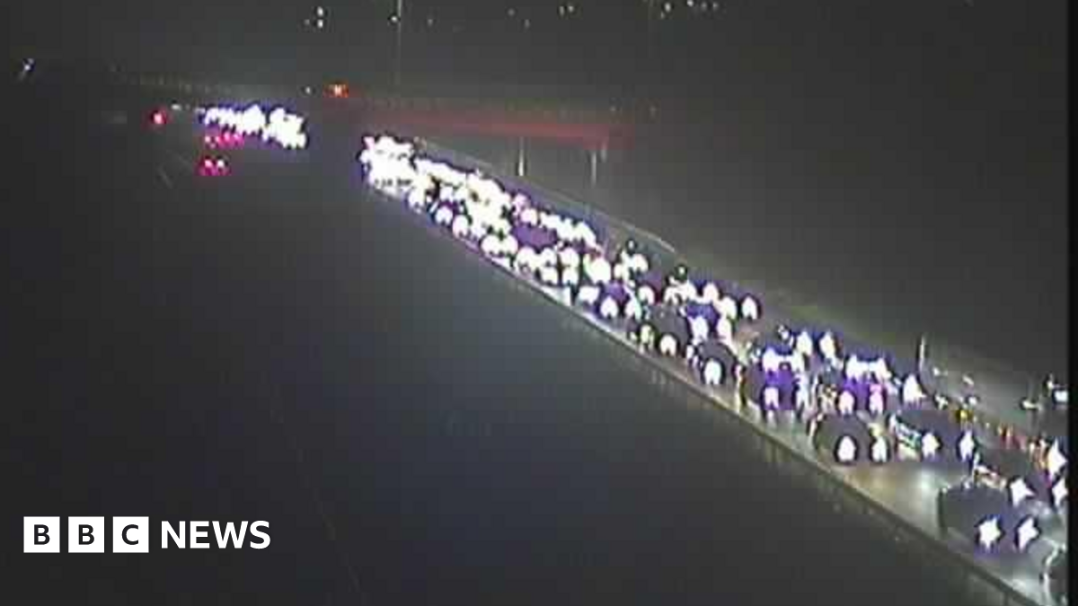 M1 reopened in both directions near Watford due to incident - BBC News