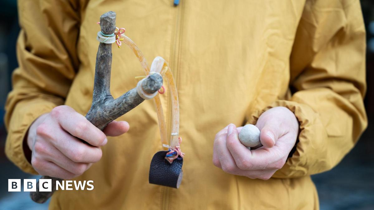 Four ducks die in suspected catapult attack - BBC News