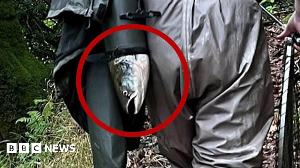 Fisherman fined for hiding salmon up sleeve in 'suspicious ...