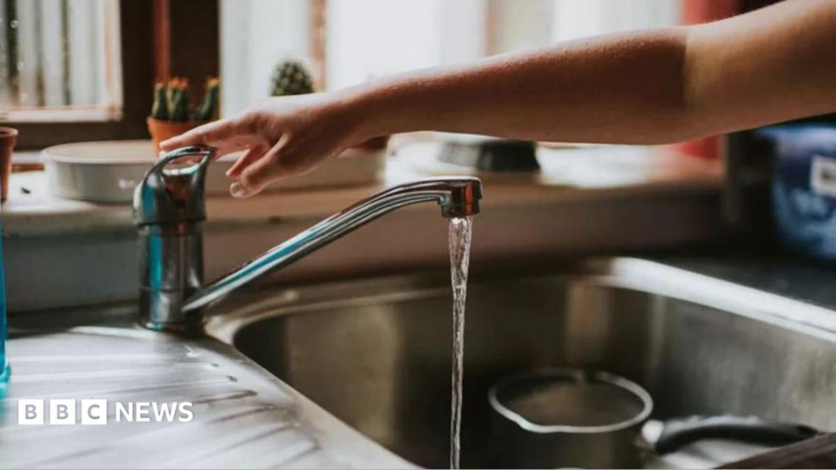 Sutton and East Surrey Water sale approved by watchdog - BBC News