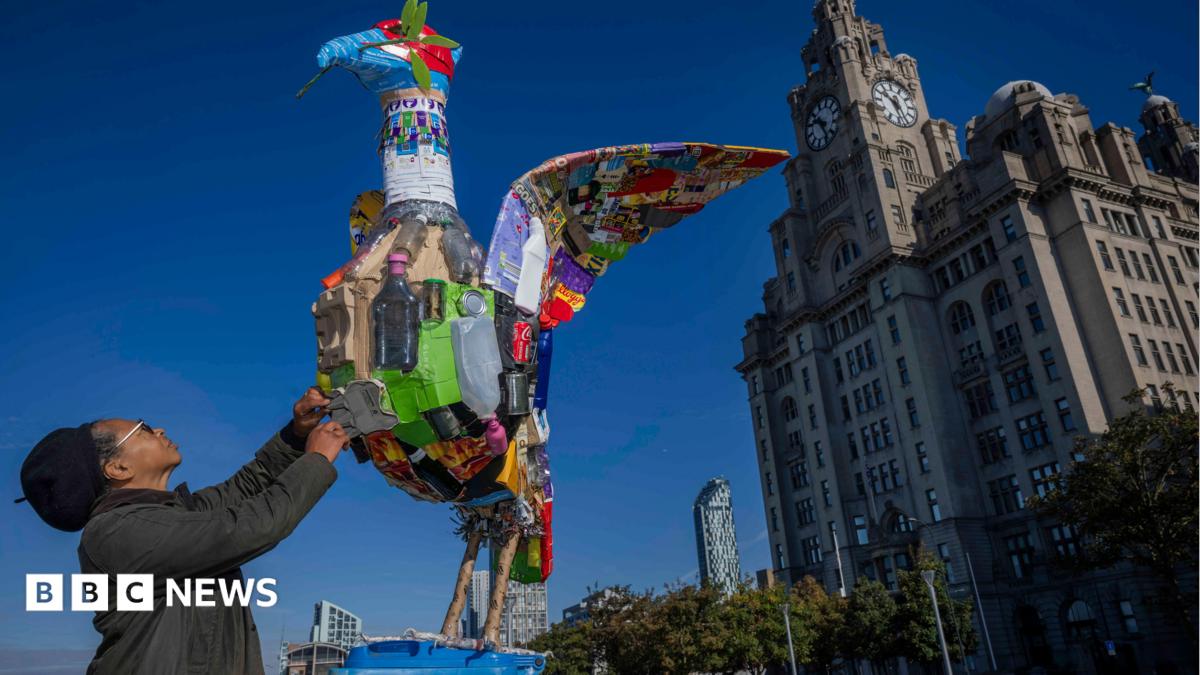 'Third Liver Bird' aims to improve Liverpool recycling rates - BBC News