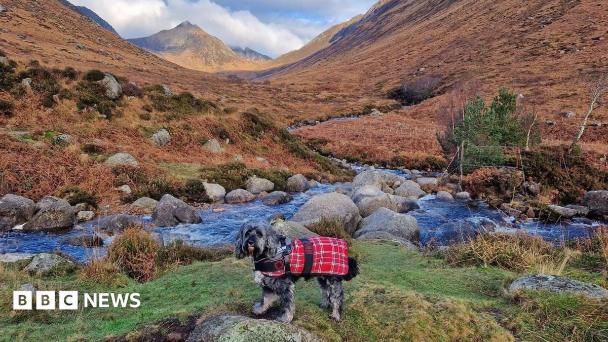 Your pictures of Scotland: Photographs from around the country - BBC News