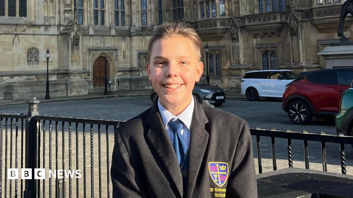 Ukraine boy living in Poole makes plea in parliament to end wars - BBC News