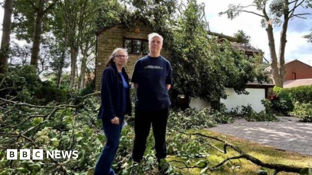 Leeds: Tree falls through house roof during Storm Lilian - BBC News