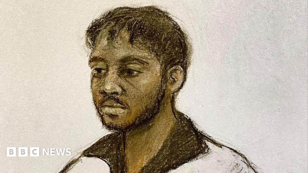 Primrose Hill stabbing: Court remands man into custody - BBC News