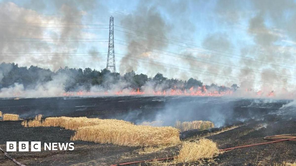Essex crews tackle three large field fires in just one day - BBC News