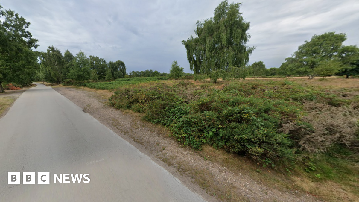 Arrest after people sprayed with substance in Sutton Park - BBC News