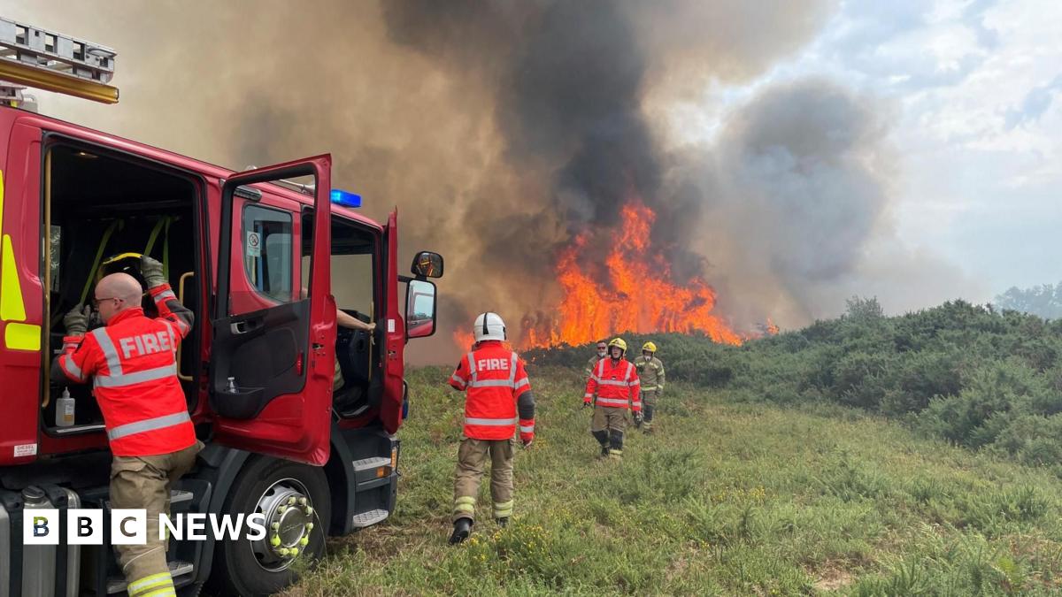 Fire-ravaged villagers in Norfolk live 'in fear of wildfires' - BBC News