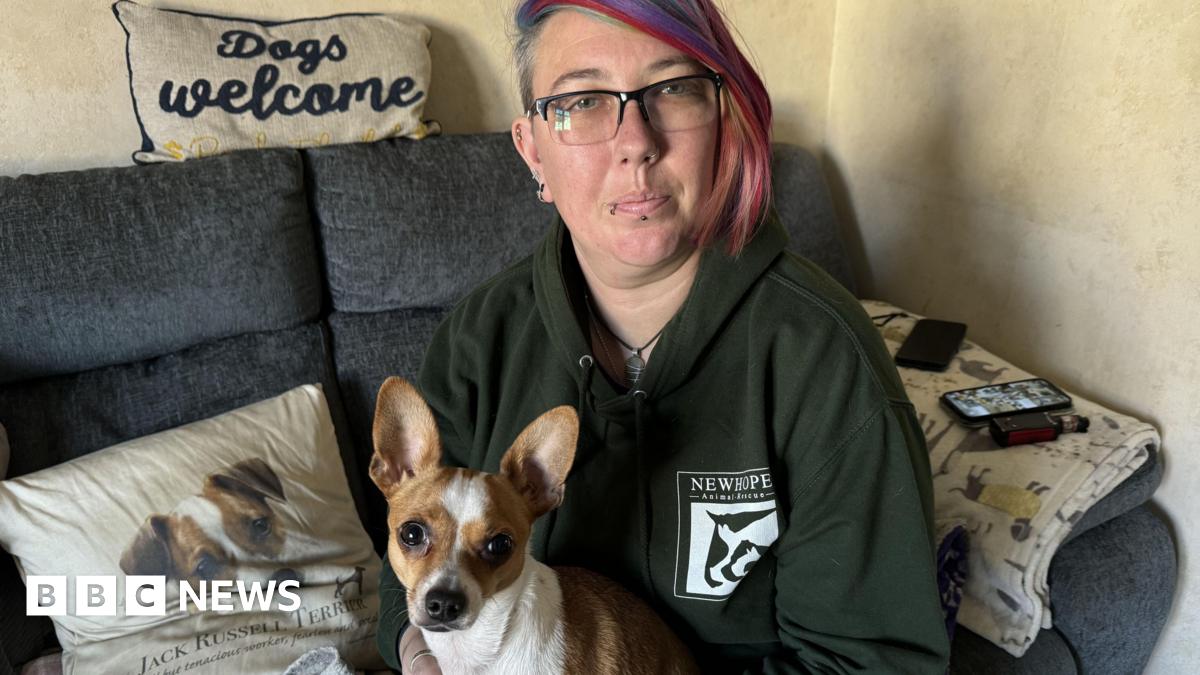 Kent rescue dog heading to Crufts as Hero Dog finalist - BBC News