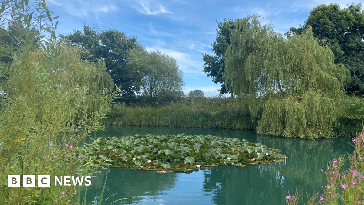 Pool Bridge Farm plans to build bigger car park - BBC News