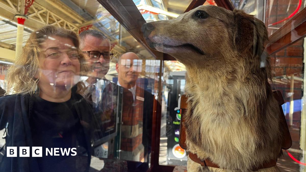 Stuffed Victorian dog returns to Slough train station home - BBC News