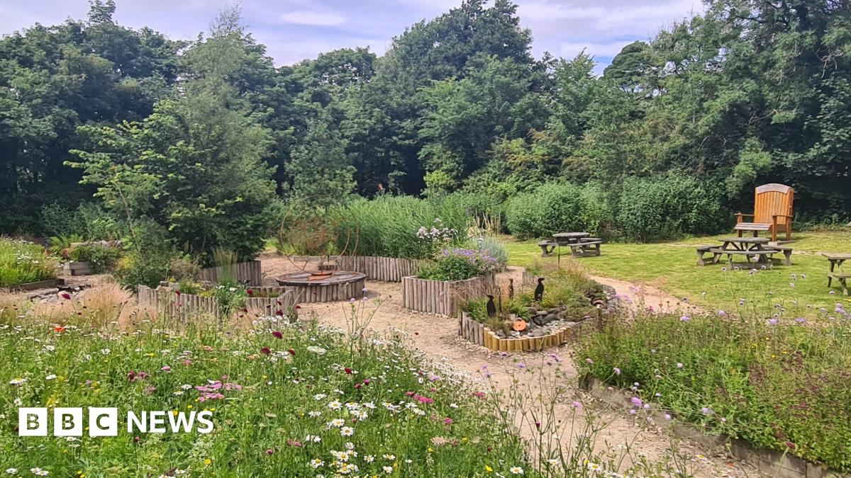 Island 'wildlife haven' in St John's spruced up by volunteers - BBC News