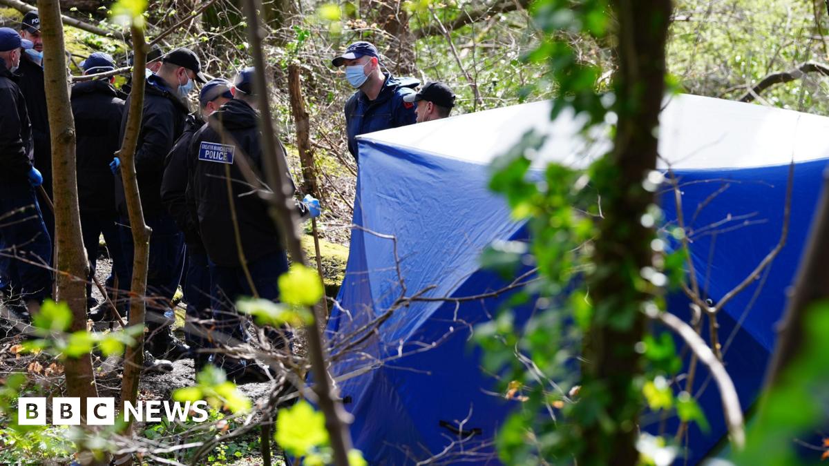 Stuart Everett's blood found on murder-accused's carpet, trial hears ...