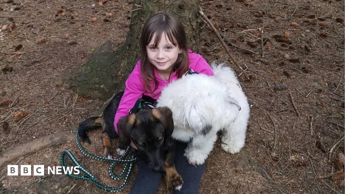 How the loss of a daughter inspire a lifeline for Dundee families - BBC ...