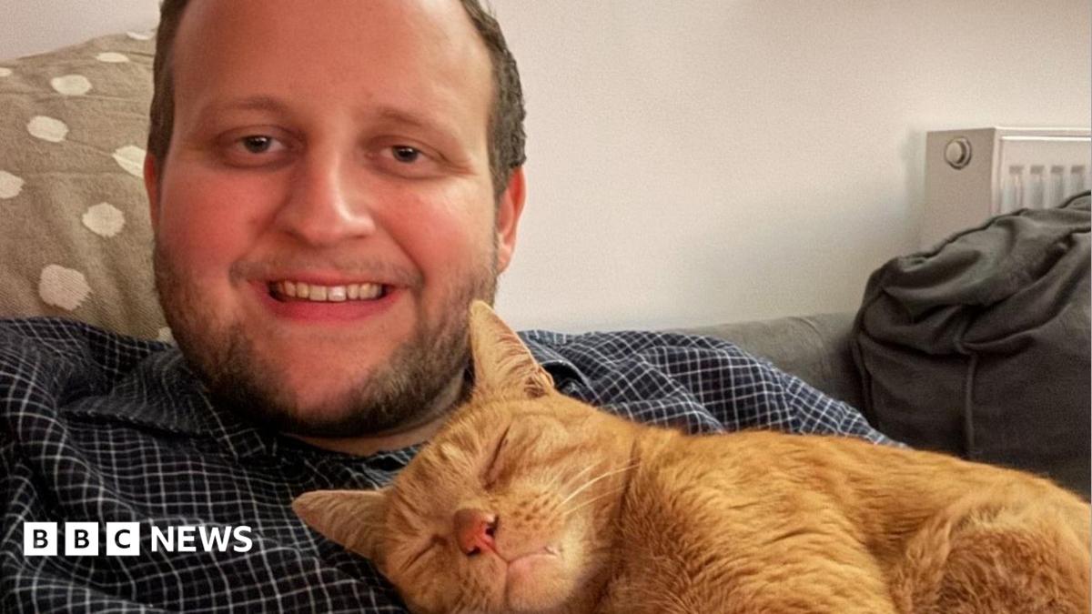 Missing cat rescued from recycling centre - BBC News
