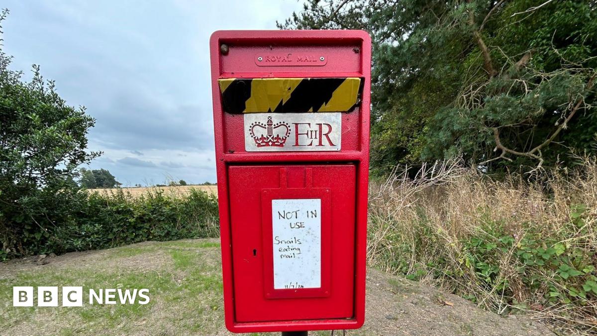 Northumberland postbox closed because snails eating mail - BBC News