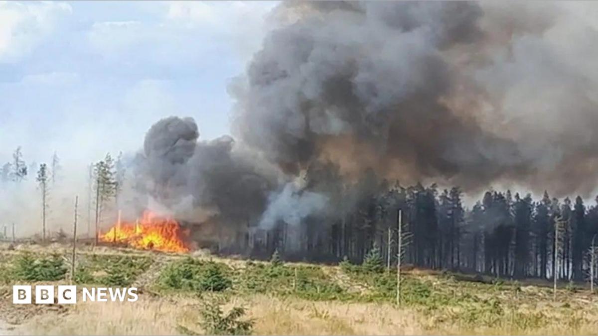 Farmers need more help after huge Langdale Moor wildfire - MP - BBC News