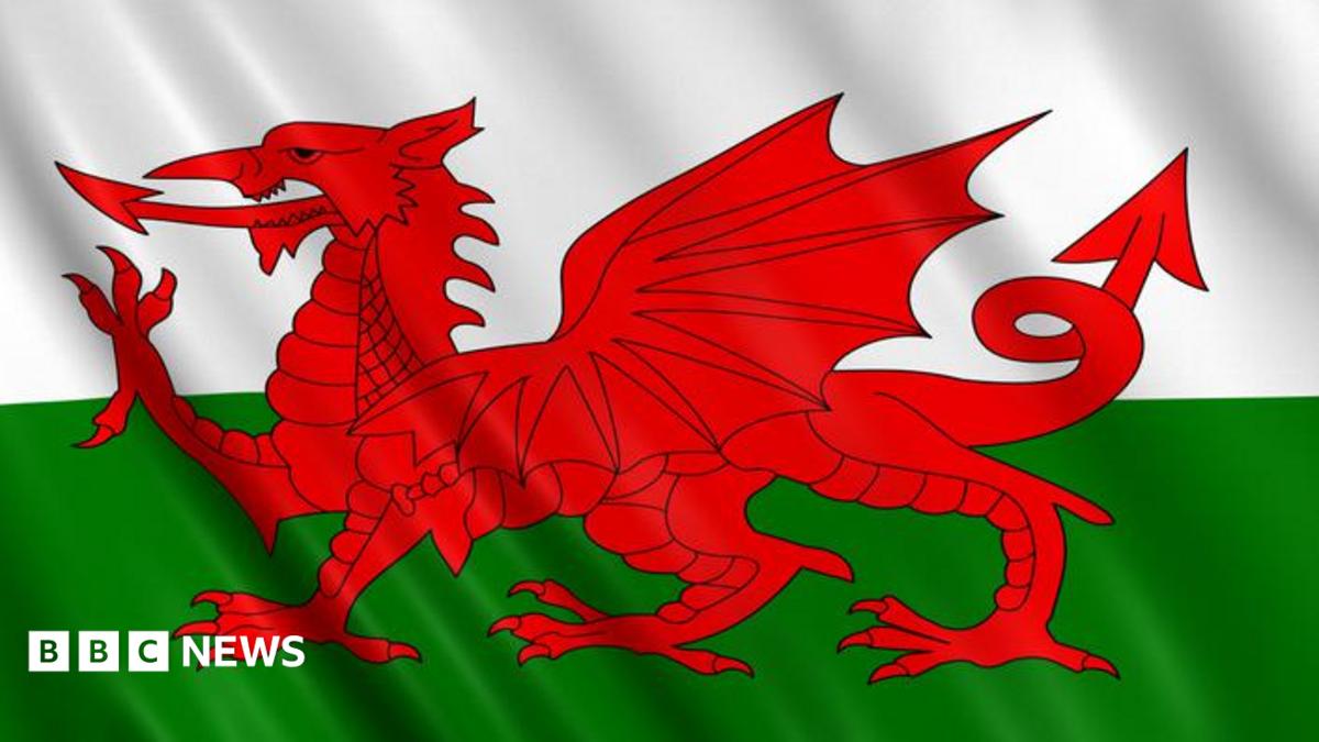 Rugby World Cup: What is the history of Wales' national flag? - BBC News