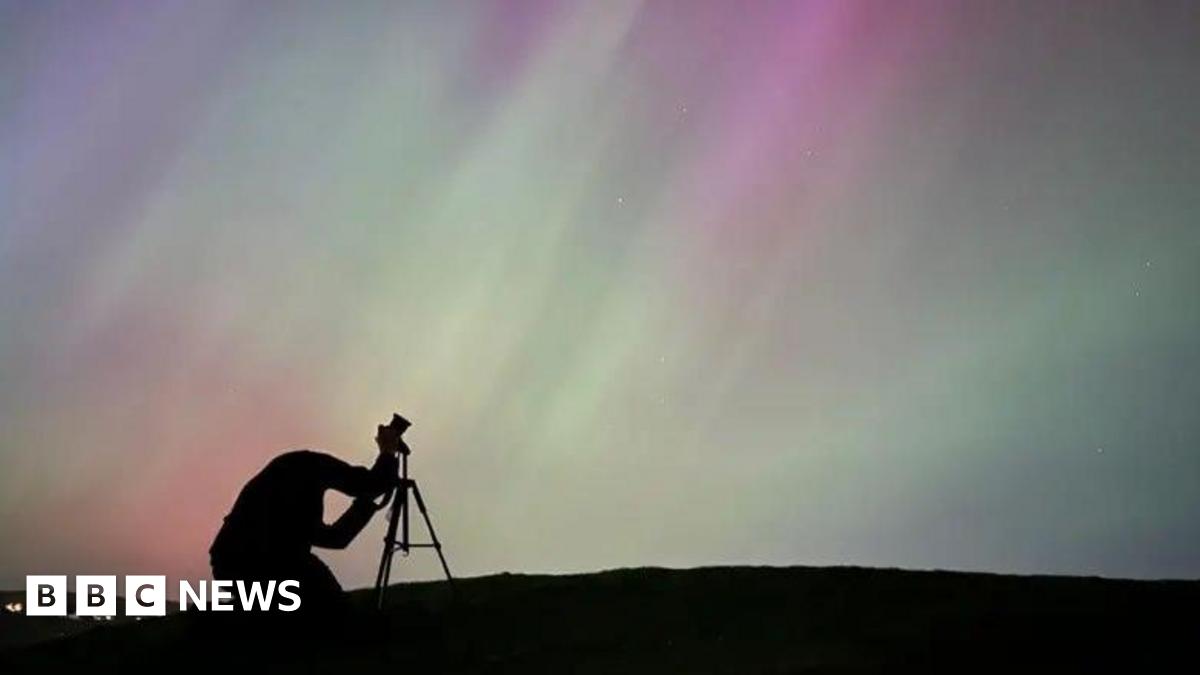 Photographers sought for year-long residency with nature charity - BBC News