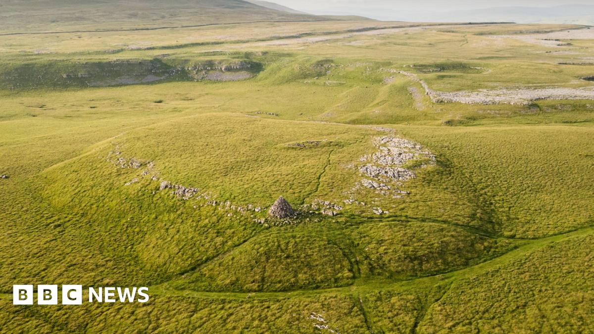 Sarah mia onlyfans she will take your direction, which I