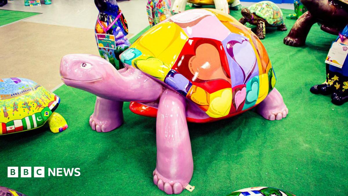 Luton: Tortoise and hare sculptures take over the town - BBC News