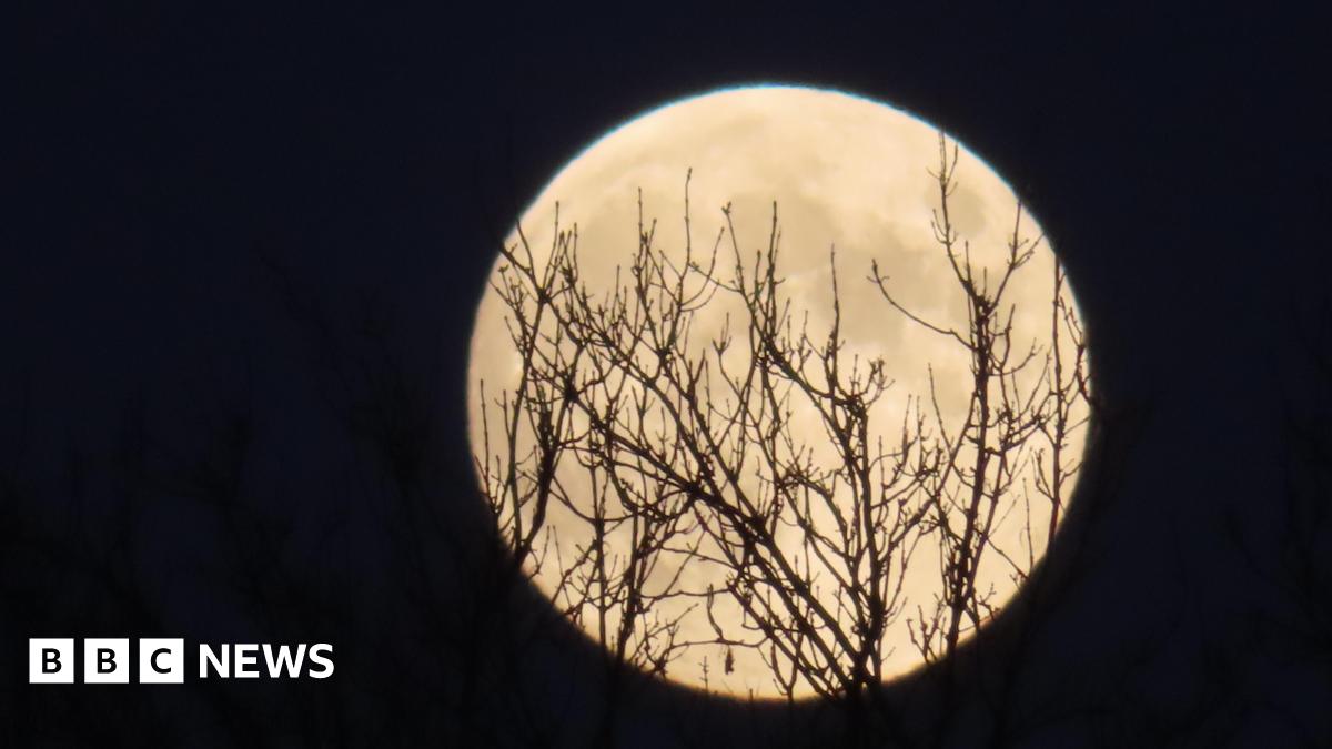 December's Cold Moon captured by West Midlands photographers - BBC News