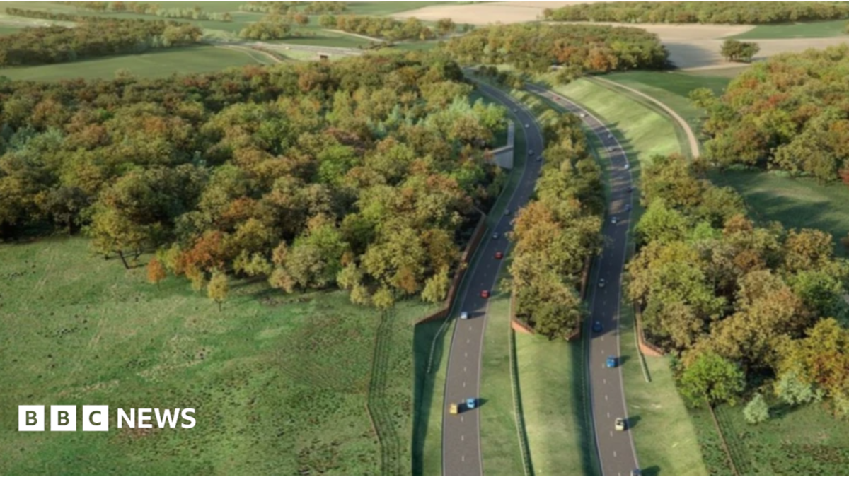 Wildlife trusts welcome withdrawal of Norwich Western Link plans - BBC News