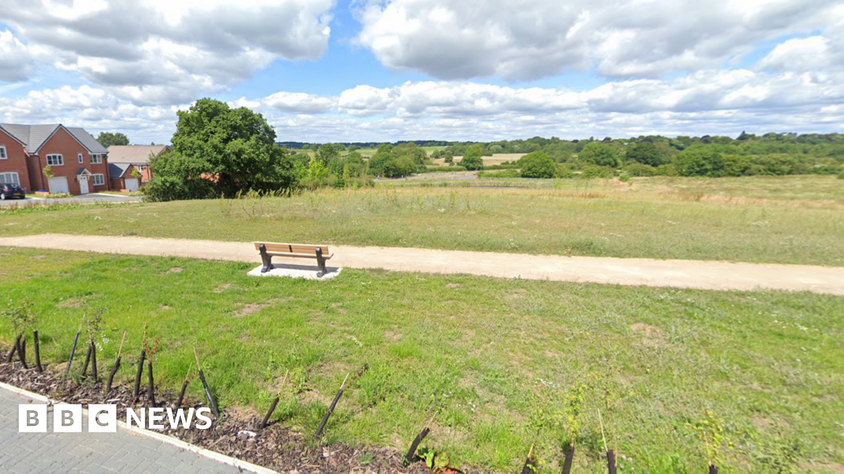 Housing plan on edge of ancient woodland in Derby - BBC News