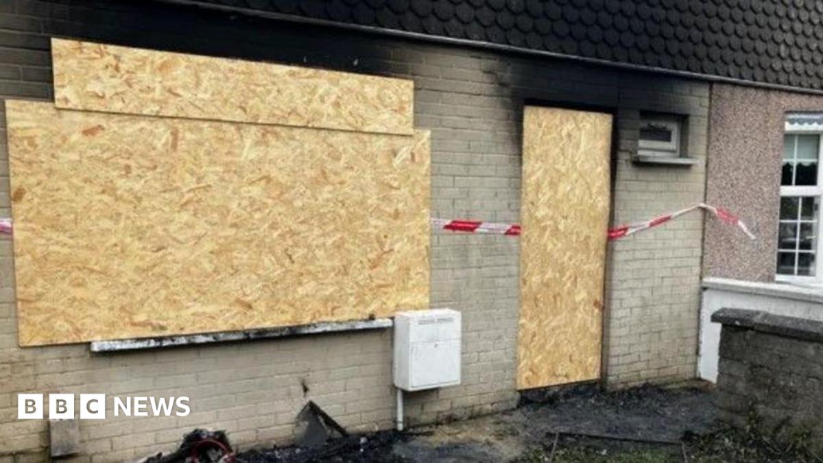 Londonderry man charged over dogs' death refused bail - BBC News
