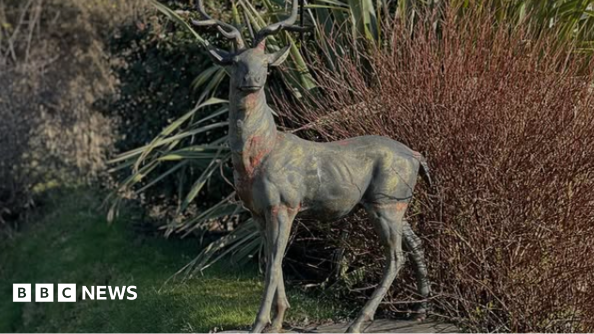 Cast iron stag statue stolen from Cornwall holiday park - BBC News